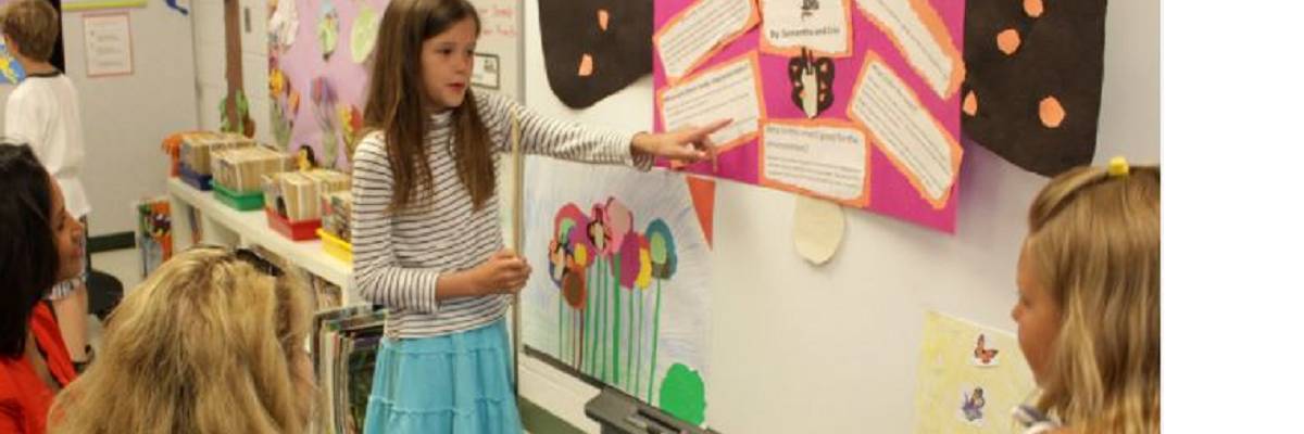 Summery Joys - Decoding Creativity